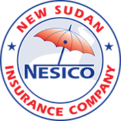 New Sudan Insurance Company Ltd